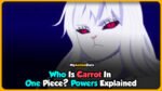 Who Is Carrot In One Piece? Powers Explained. - MyAnimeGuru