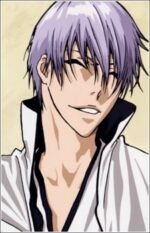 Silver Fox of Deception: The Elusive Gin Ichimaru - MyAnimeGuru